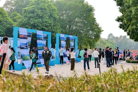 广东开展2025年“世界湿地日”暨红树林保护宣传活动 新快网