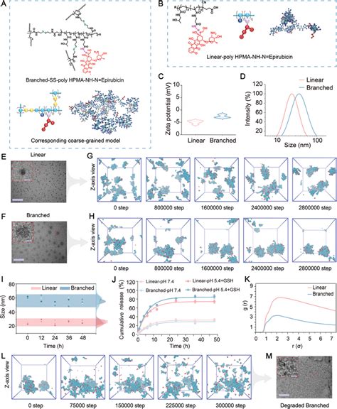 Chemical Structures In Silico Computational Results And Download Scientific Diagram