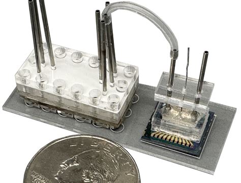 Ping Lab Nano Biointerface And Applications