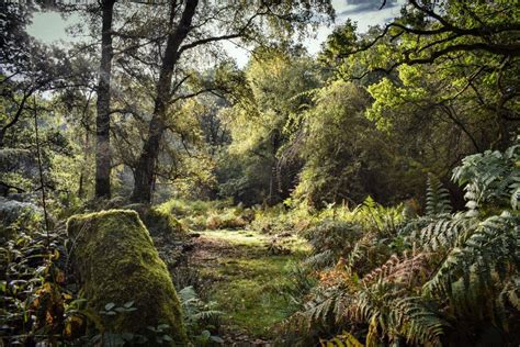 Historic Chilterns Chilterns National Landscape