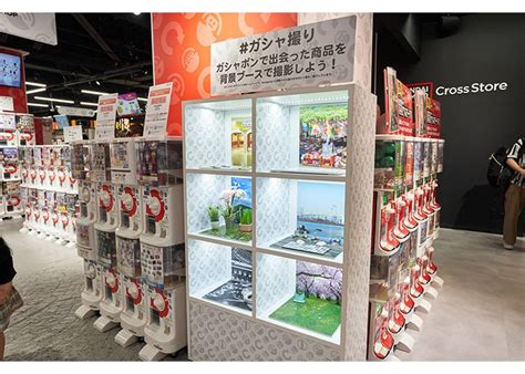 Pop Culture Paradise Find All Your Favorite Characters At Sunshine