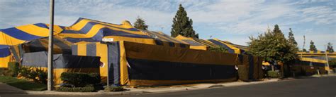 Termite Fumigation Los Angeles Orange County And San Diego