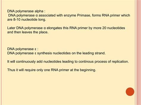Dna Replication Eukaryotes Pptx