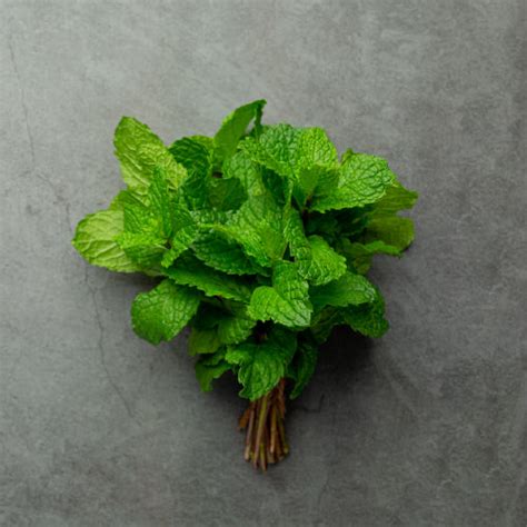 Mint Root Cut Gourmet Garden