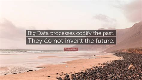 Cathy Oneil Quote “big Data Processes Codify The Past They Do Not