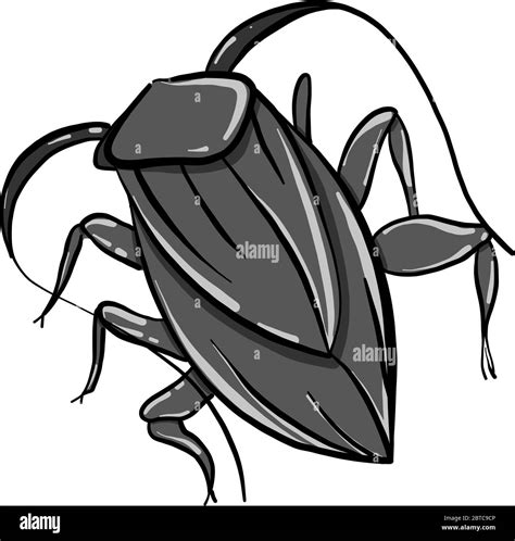 Drawing Black Cockroach Isolated Cut Out Stock Images And Pictures Alamy