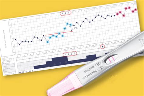 Home Fertility Charting