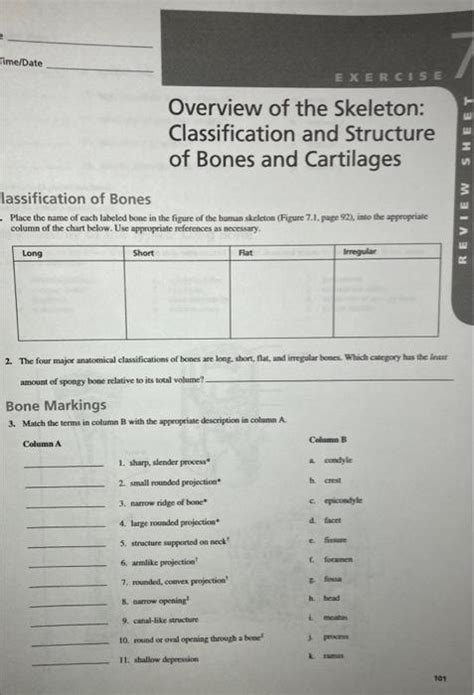 Solved Overview Of The Skeleton Classification And