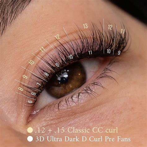 Hybrid Lash Map Lashes Fake Eyelashes Perfect Eyelashes Lashes