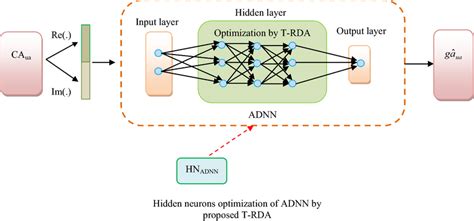 Diagrammatic Illustration Of The Adnn Model Download Scientific Diagram