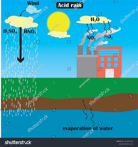 Acid Rain Formation Flow Chart