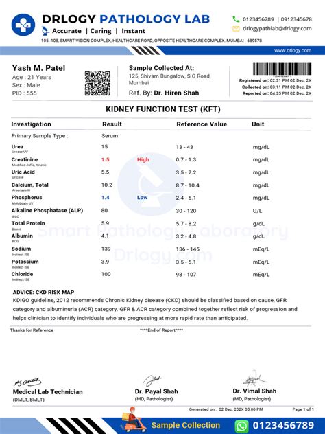 Kft Test Report Format Example Sample Template Drlogy Lab Report Pdf