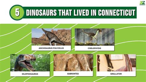 5 Dinosaurs That Lived In Connecticut And Where To See Fossils Today