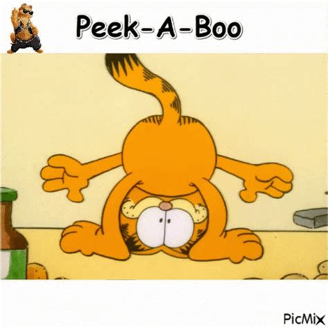 Peek A Boo S Download And Share