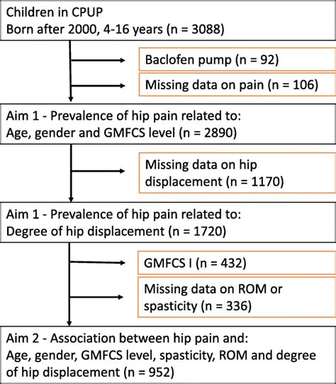 Inclusion Flowchart Gmfcs Gross Motor Function Classification System