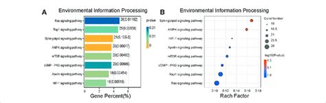 Environmental Information Processing Of Differential Protein