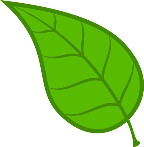 Leaves Clipart Png