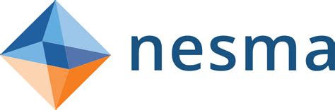 Productivity Measurement Nesma