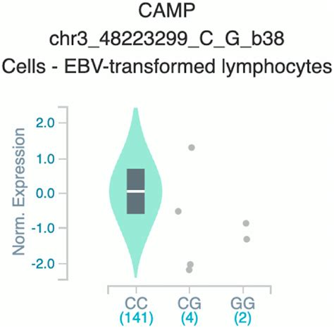 Violin Plots Of Relative Gene Expression Impacted By Rs9844566 Eqtl Of