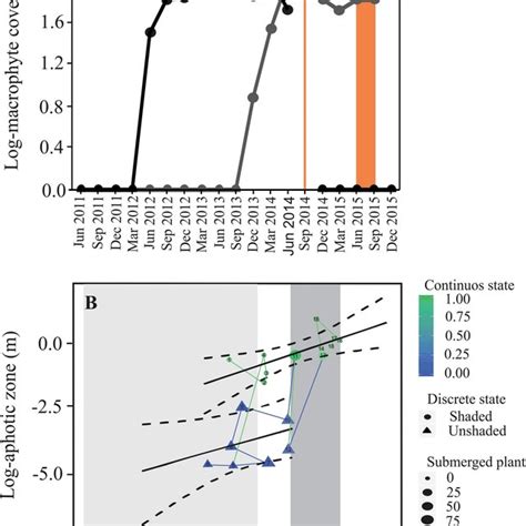 Relationship Between The Submerged And Floating Macrophyte Covers The