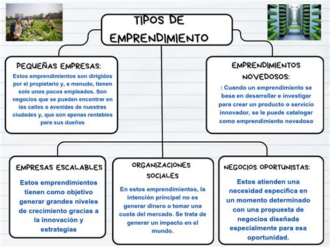 Tipos De Emprendimientos Pdf