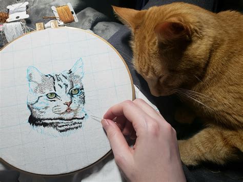 Stitching Kitties With My Kitty Couldnt Be Happier Rembroidery