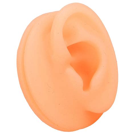 Human Ear Model Flesh Colored Fake Ear Model Naroote