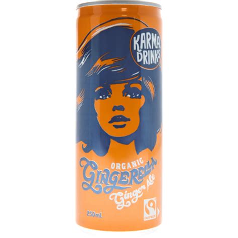 Karma Drinks Organic Gingerella Ginger Ale 250ml Nz