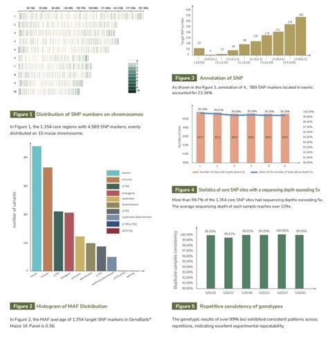Maize Genotyping Panel