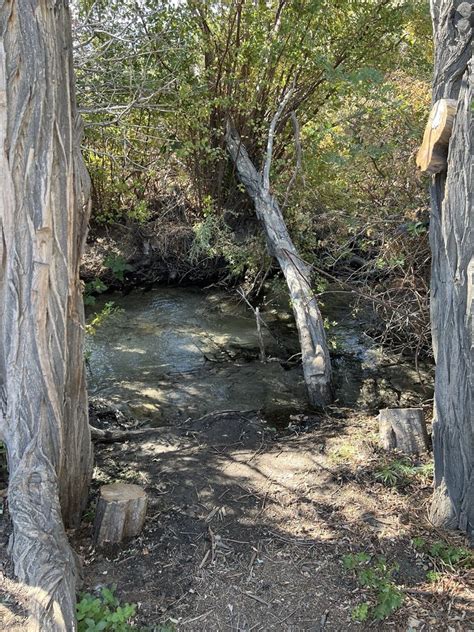 Taboose Creek Campground Updated June 2026 18 Photos Independence