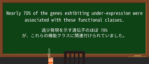 【英単語】functional Classesを徹底解説！意味、使い方、例文、読み方 おもしろい英文法
