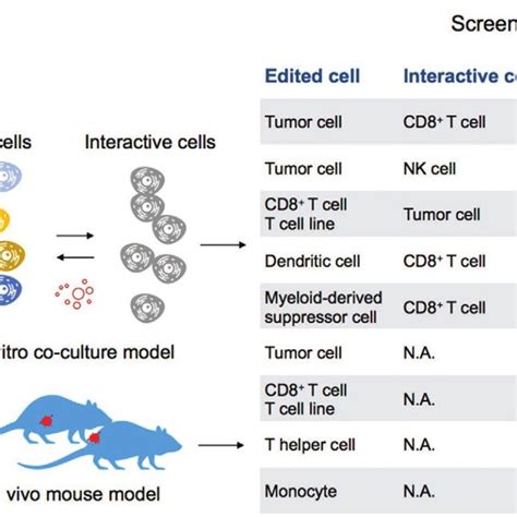 Application Of Crispr Screen For Cancer Immunology And Immunotherapy Download Scientific