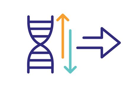 High Throughput Ngs Acgt