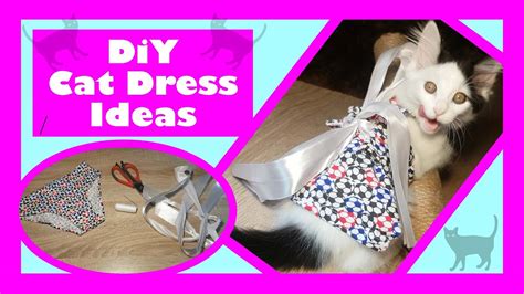 How To Make Diy Cat Clothes At Gilbert Strothers Blog