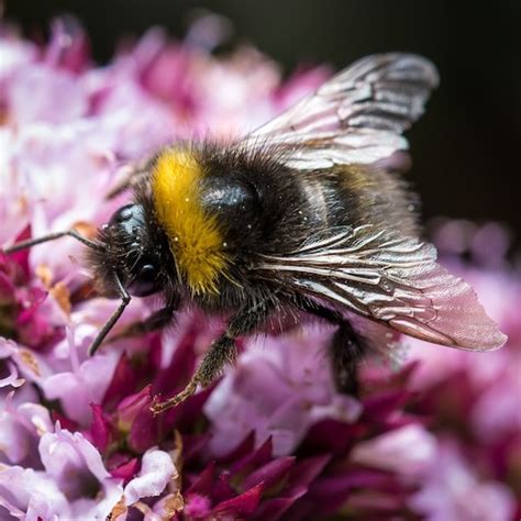 News Nasa Openscapes