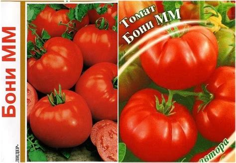 Коллаж: упаковки семян томатов Бони ММ | Tomates en maceta, Huerta en ...