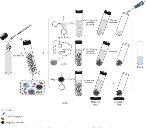 Solid Phase Dispersion Extraction Procedure At Arthur Dwyer Blog