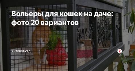 Вольеры для кошек на даче: фото 20 вариантов | Антонов сад - дача и ...