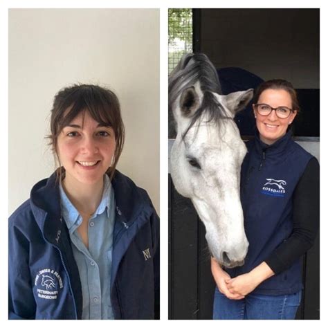 Beva Expands Leg Up Coaching Scheme Veterinary Practice