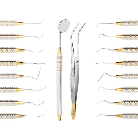 Dental Hygienist Instruments Tool Kit Professional Cleaning Set