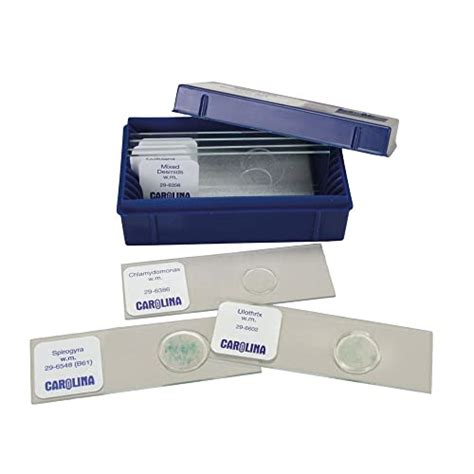 Beginners Algae Microscope Slide Set Want It All