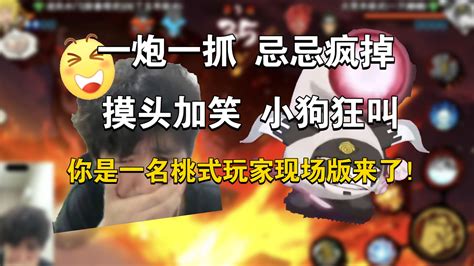 你是一名桃式玩家 福禄丸火影忍者 福禄丸火影忍者 哔哩哔哩视频