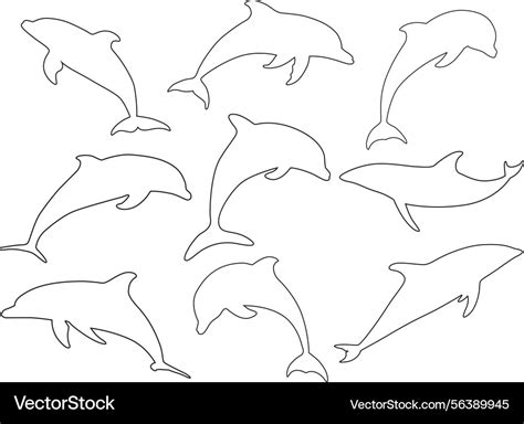 Dolphin Outline Clipart Royalty Free Vector Image