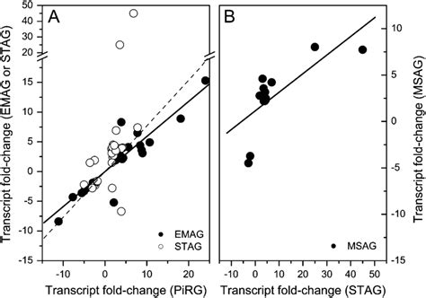 A Correlation Between The Relative Transcript Abundance Of P