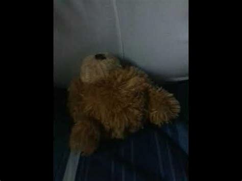 Farting On Teddys Face 1 Youtube