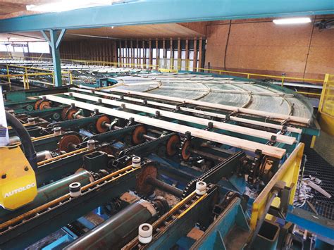 Diprizio Pine Sales Continues To Raise The Bar In Production Capacity And Consistency Through