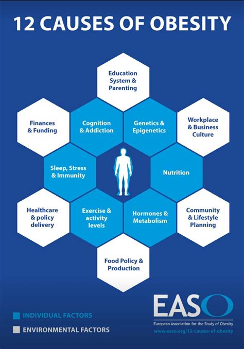 Obesity Multifactorial Disorder R Mounjaro