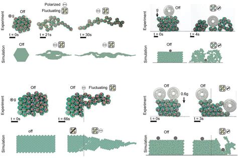 Pequenos Robôs Viram Células De Materiais Inteligentes Que Imitam A Vida