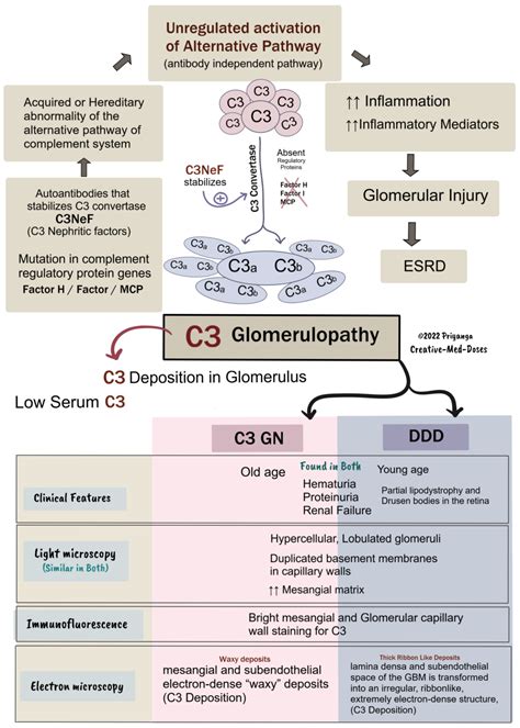 C3 Glomerulopathy Creative Med Doses