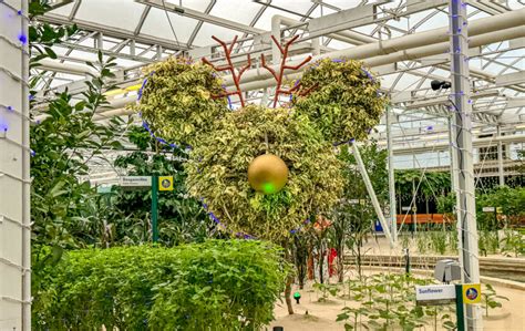 Photos Living With The Land Glimmering Greenhouses Officially Open In